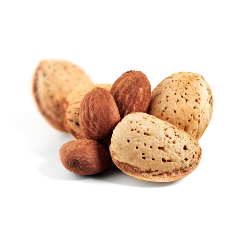 Comprar Almendro marcona maceta 10 litros - Verdecora