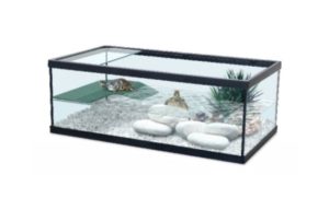 Qué cualidades debe tener una pecera para tortuga | Blog Verdecora