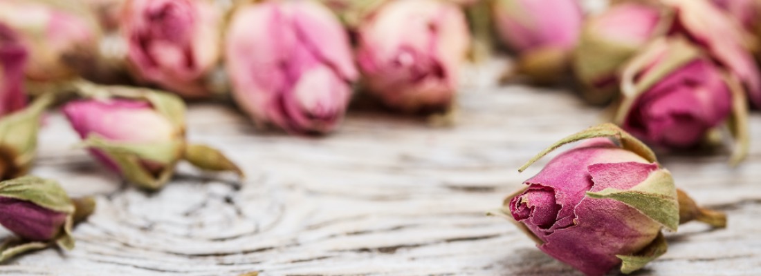 Cómo secar una rosa correctamente | Blog Verdecora